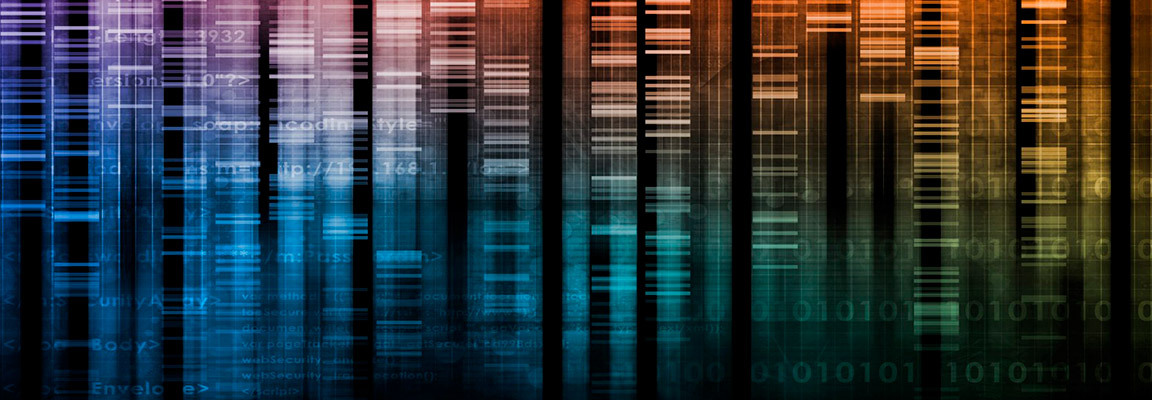 What Is A Genetic Raw Data File And What Is It For 