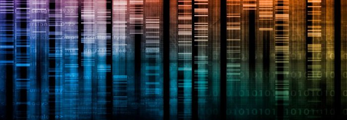 ¿Qué es y para qué sirve un fichero Raw Data genético?